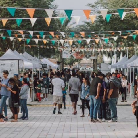 How to Plan a Health Fair | Strive Well-Being